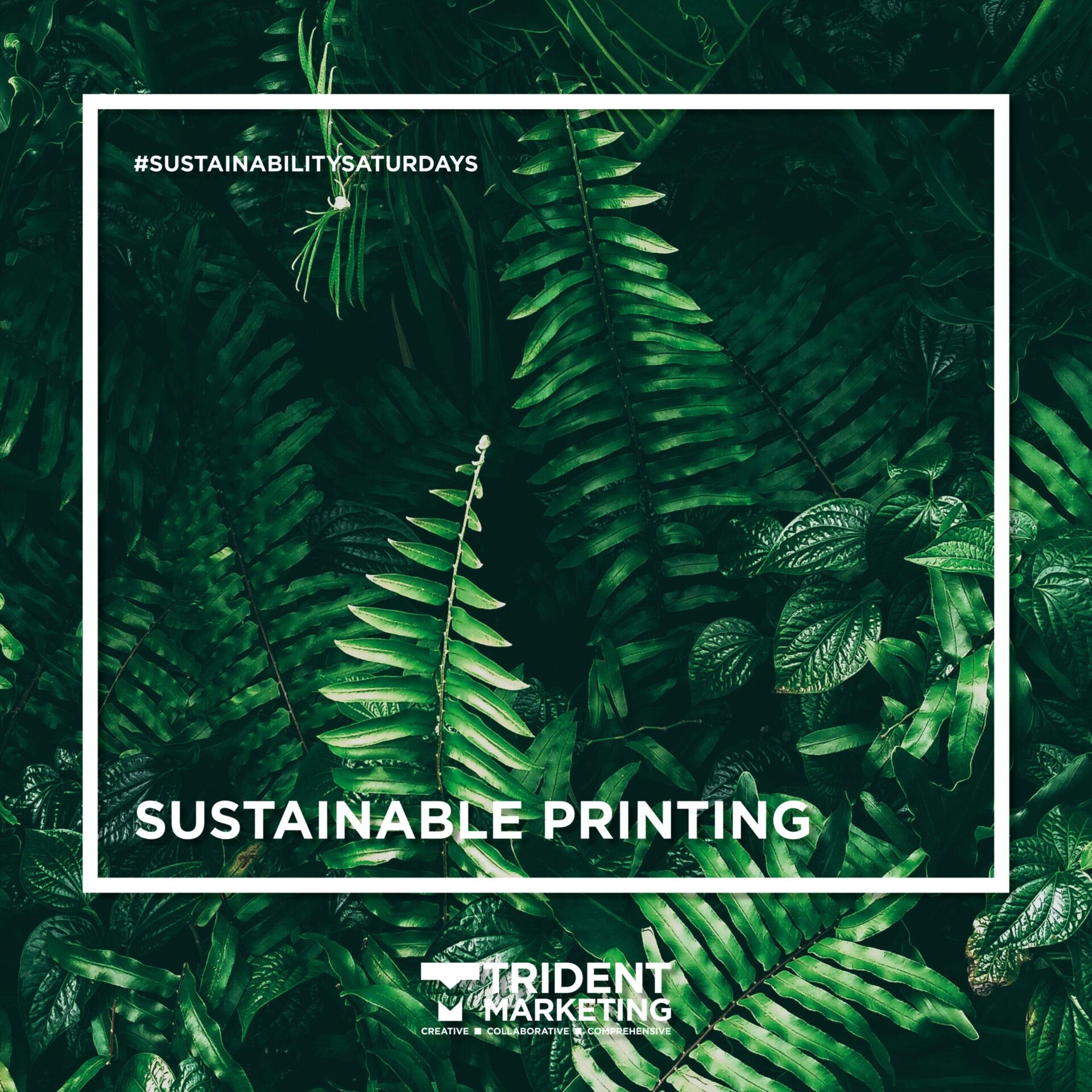 Sustainable Printing - Trident Marketing